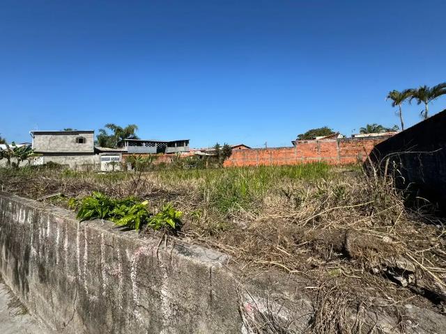 Terreno / Lote para Venda em Itanhaém/SP Jardim Jamaica