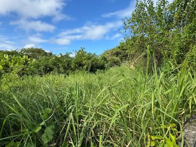 Terreno / Lote para Venda em Itanhaém/SP Jardim Jamaica