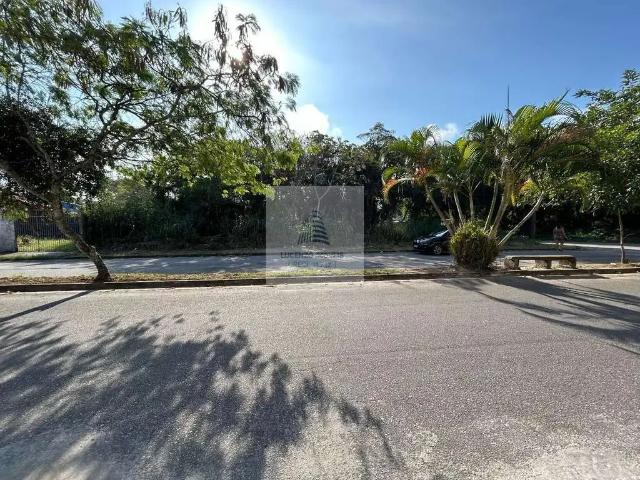 Terreno / Lote para Venda em Itanhaém/SP Jardim Jamaica