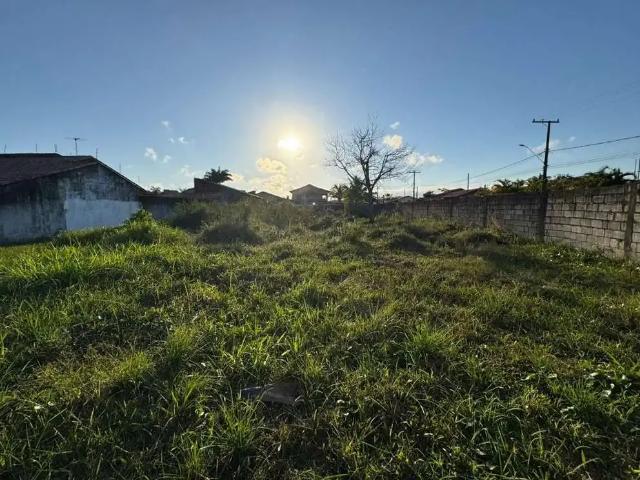 Terreno / Lote para Venda em Itanhaém/SP Jardim Jamaica