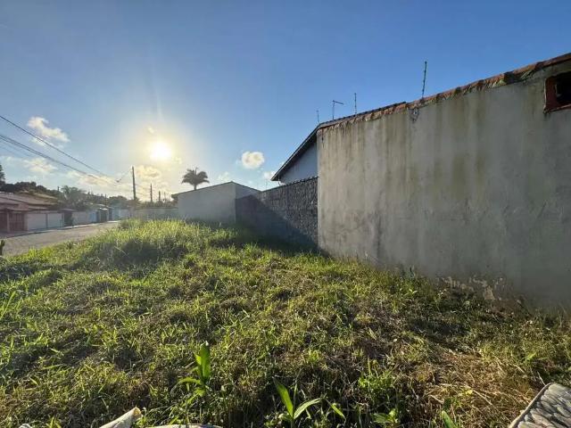 Terreno / Lote para Venda em Itanhaém/SP Jardim Jamaica