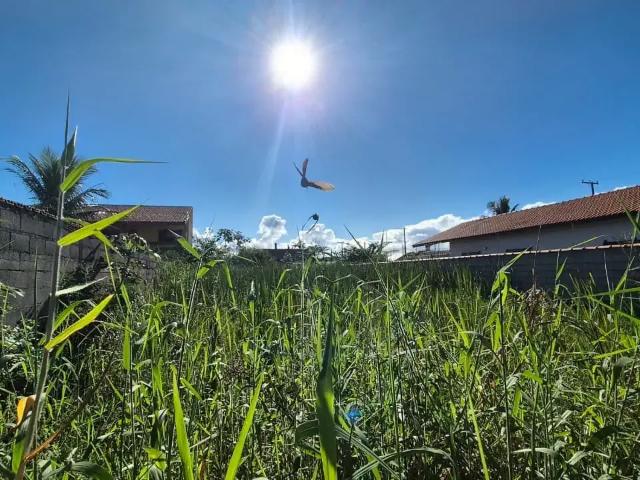 Terreno / Lote para Venda em Itanhaém/SP Jardim Jamaica