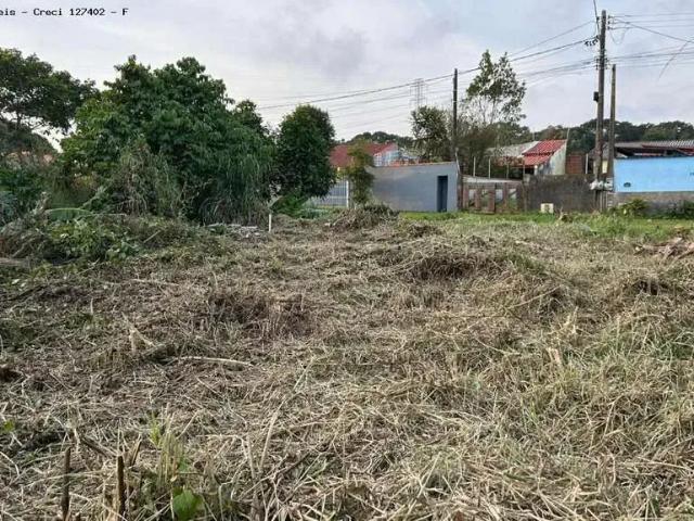 Terreno / Lote para Venda em Itanhaém/SP Jardim Lindomar