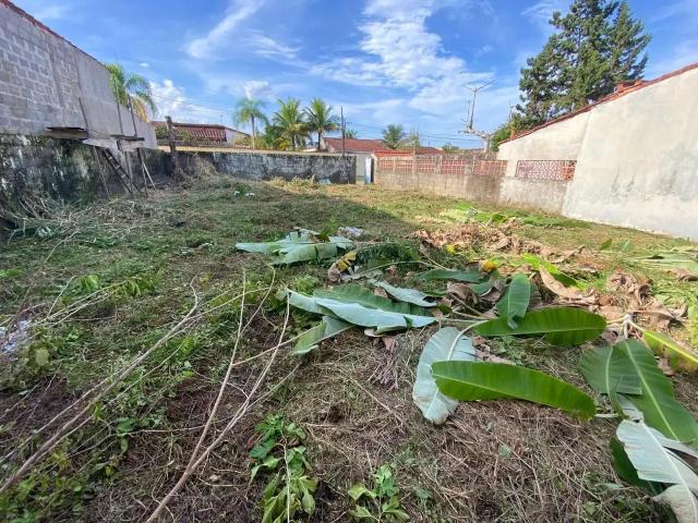 Terreno / Lote para Venda em Itanhaém/SP Jardim Lindomar