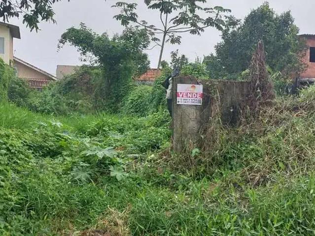 Terreno / Lote para Venda em Itanhaém/SP Jardim Magalhães