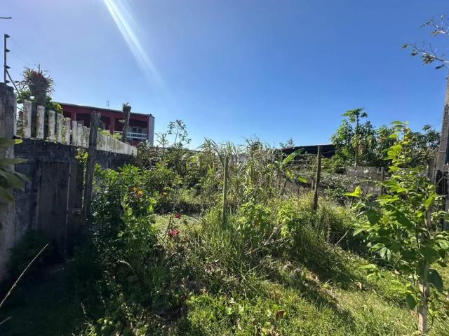 Terreno / Lote para Venda em Itanhaém/SP Jardim Regina