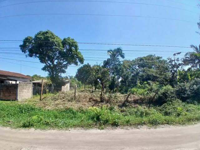 Terreno / Lote para Venda em Itanhaém/SP Jardim Regina