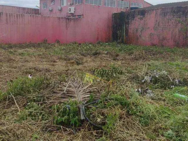 Terreno / Lote para Venda em Itanhaém/SP Jardim Regina