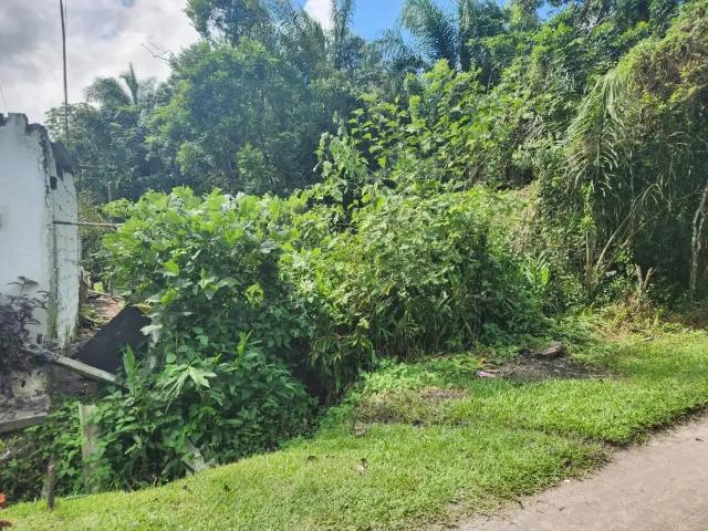 Terreno / Lote para Venda em Itanhaém/SP Jardim São Fernando
