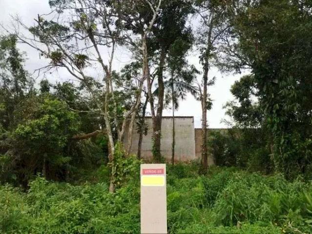Terreno / Lote para Venda em Itanhaém/SP Jardim São Fernando