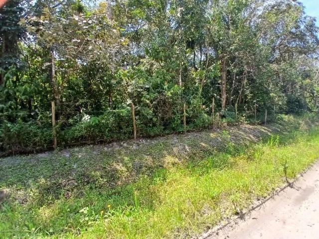 Terreno / Lote para Venda em Itanhaém/SP Jardim São Fernando