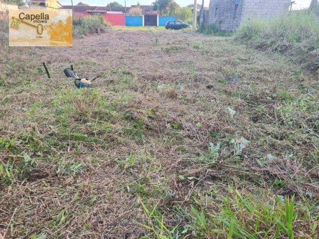 Terreno / Lote para Venda em Itanhaém/SP Jardim São Fernando