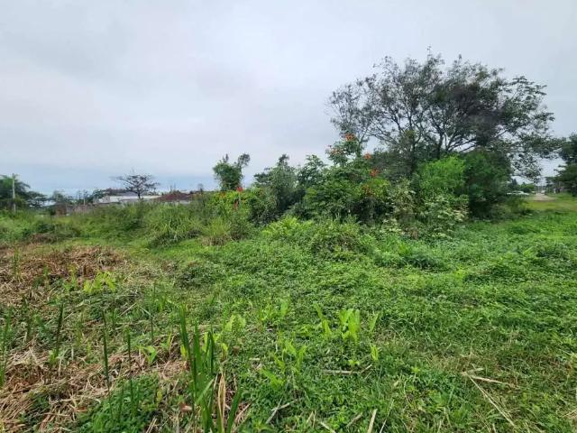 Terreno / Lote para Venda em Itanhaém/SP Luíza Mar Mirim