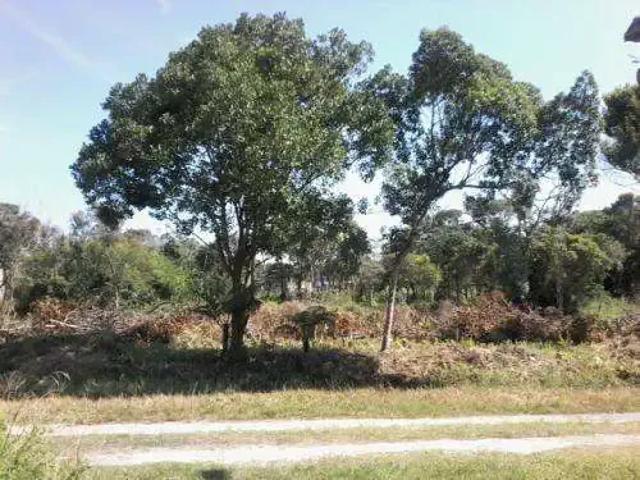 Terreno / Lote para Venda em Itanhaém/SP Luíza Mar Mirim