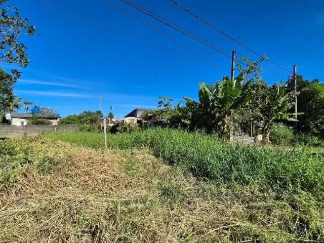 Terreno / Lote para Venda em Itanhaém/SP Luíza Mar Mirim