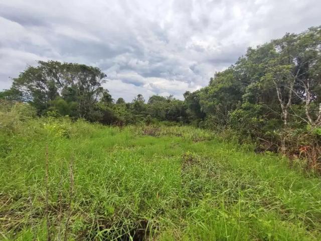 Terreno / Lote para Venda em Itanhaém/SP Luíza Mar Mirim