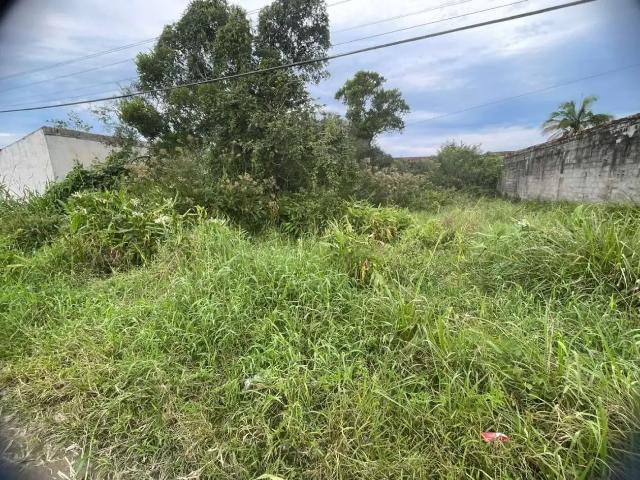 Terreno / Lote para Venda em Itanhaém/SP Luíza Mar Mirim