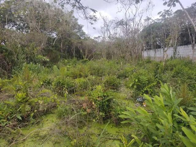 Terreno / Lote para Venda em Itanhaém/SP Luíza Mar Mirim
