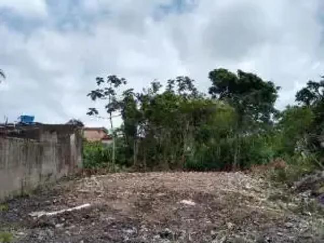 Terreno / Lote para Venda em Itanhaém/SP Palmeiras II