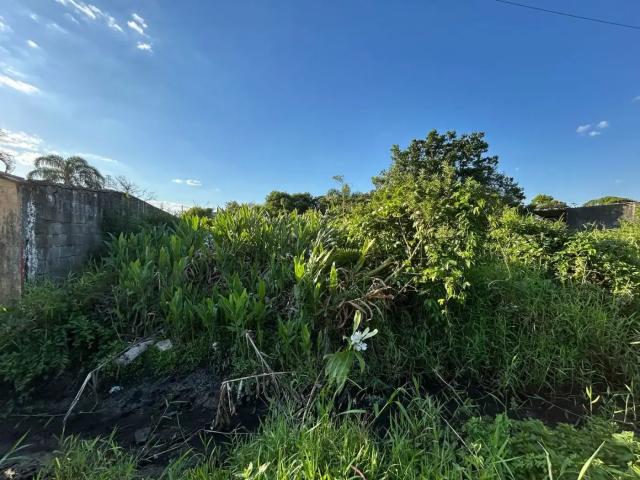 Terreno / Lote para Venda em Itanhaém/SP Palmeiras II