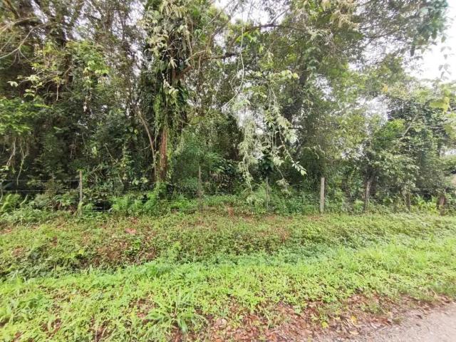 Terreno / Lote para Venda em Itanhaém/SP Palmeiras II