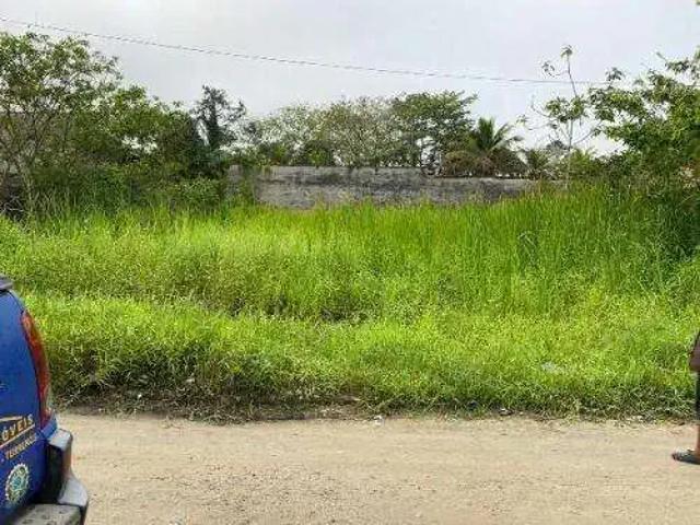 Terreno / Lote para Venda em Itanhaém/SP Palmeiras II