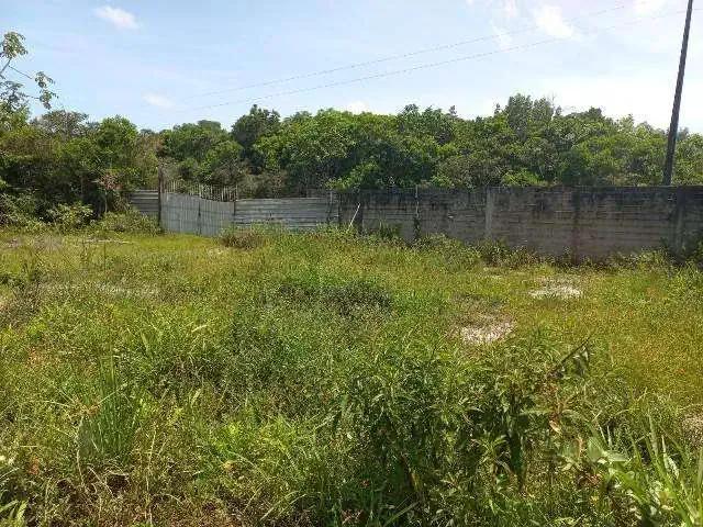 Terreno / Lote para Venda em Itanhaém/SP Palmeiras II