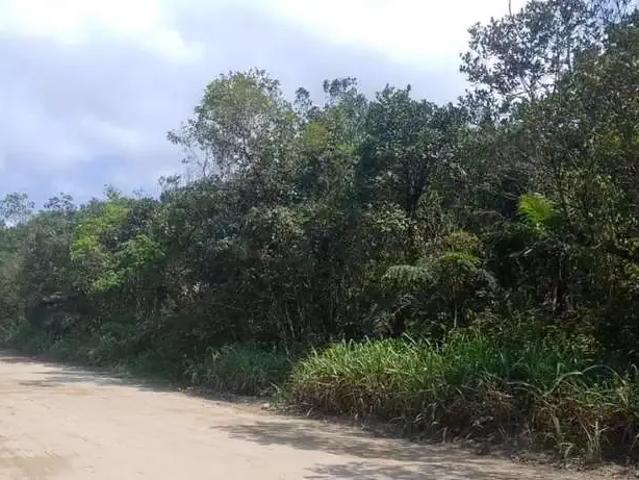 Terreno / Lote para Venda em Itanhaém/SP Palmeiras II
