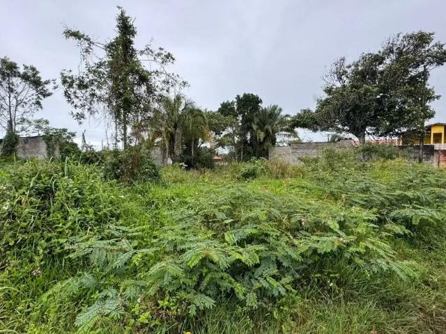 Terreno / Lote para Venda em Itanhaém/SP Palmeiras II