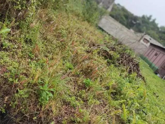 Terreno / Lote para Venda em Itanhaém/SP Palmeiras II
