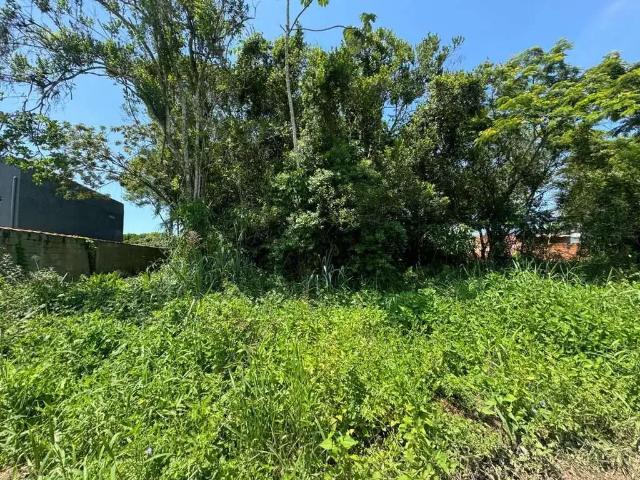 Terreno / Lote para Venda em Itanhaém/SP Palmeiras II