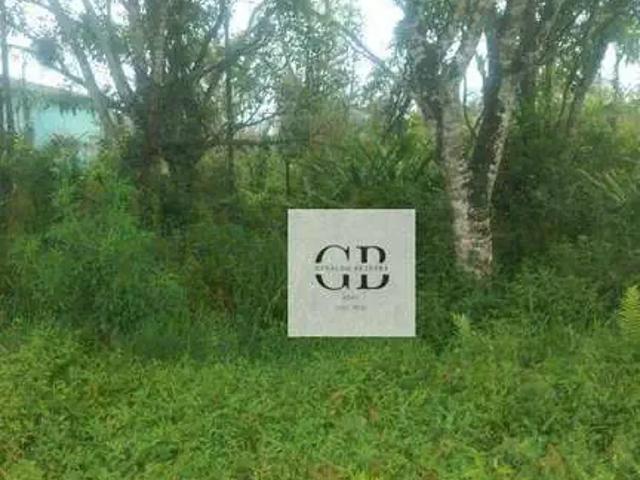 Terreno / Lote para Venda em Itanhaém/SP Parque Vergara