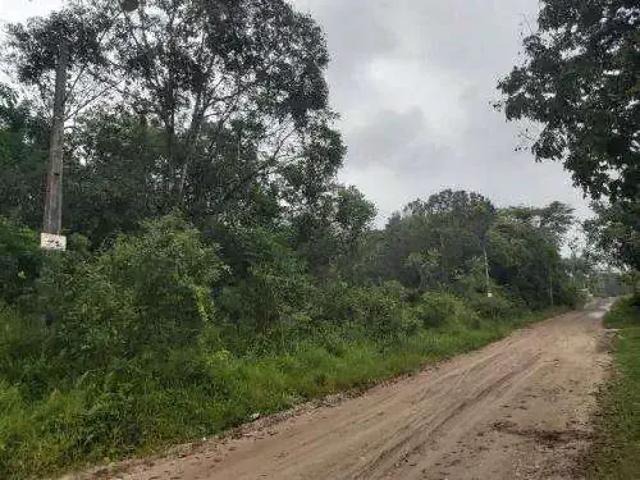 Terreno / Lote para Venda em Itanhaém/SP Parque Real
