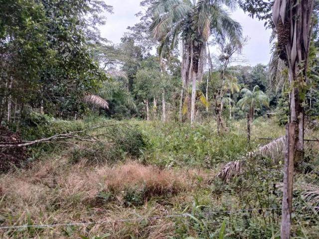 Terreno / Lote para Venda em Itanhaém/SP Rio Preto