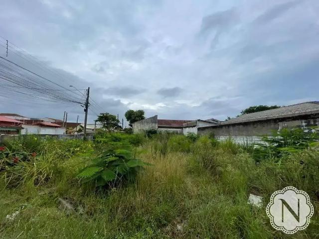 Terreno / Lote para Venda em Itanhaém/SP Suarão