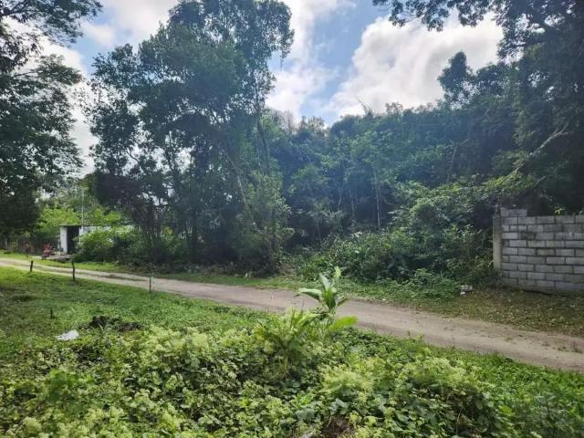 Terreno / Lote para Venda em Itanhaém/SP São Fernando