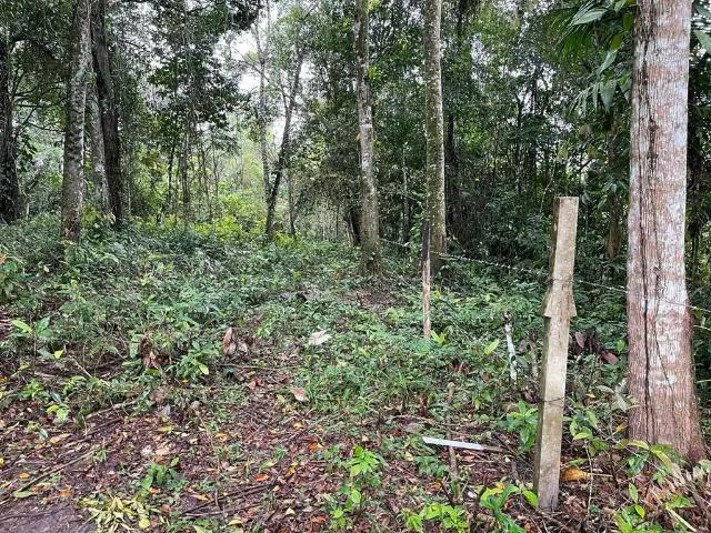 Terreno / Lote para Venda em Itanhaém/SP Vila Loty
