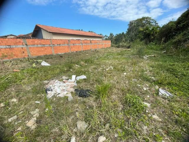 Terreno / Lote para Venda em Itanhaém/SP Vila Loty