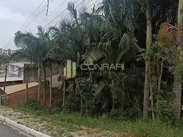 Terreno / Lote para Venda em Itapema/SC Alto São Bento