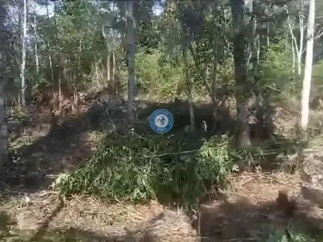 Terreno / Lote para Venda em Itapecerica da Serra/SP Palmeiras
