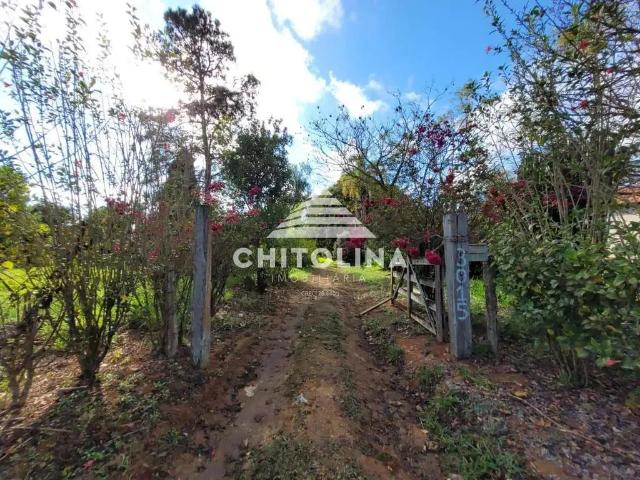 Terreno / Lote para Venda em Itapetininga/SP Vila Cubatão