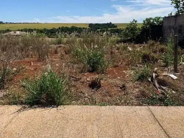 Terreno / Lote para Venda em Itapetininga/SP Vila Progresso