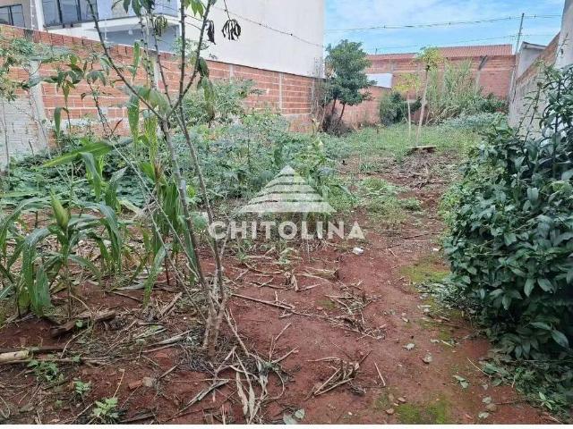 Terreno / Lote para Venda em Itapetininga/SP Cambuí