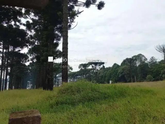 Terreno / Lote para Venda em Itapetininga/SP Jardim Bela Vista