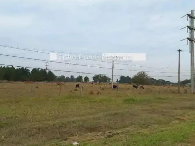 Terreno / Lote para Venda em Itapetininga/SP Jardim Bela Vista