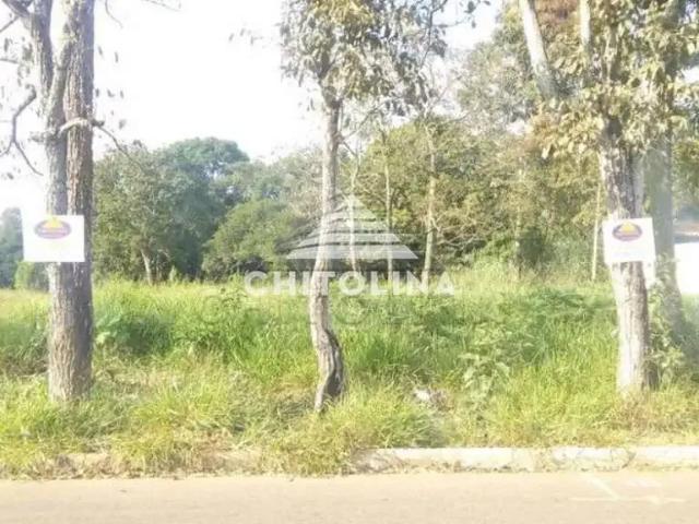 Terreno / Lote para Venda em Itapetininga/SP Jardim das Flores