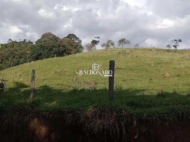 Terreno / Lote para Venda em Itapeva/MG Centro