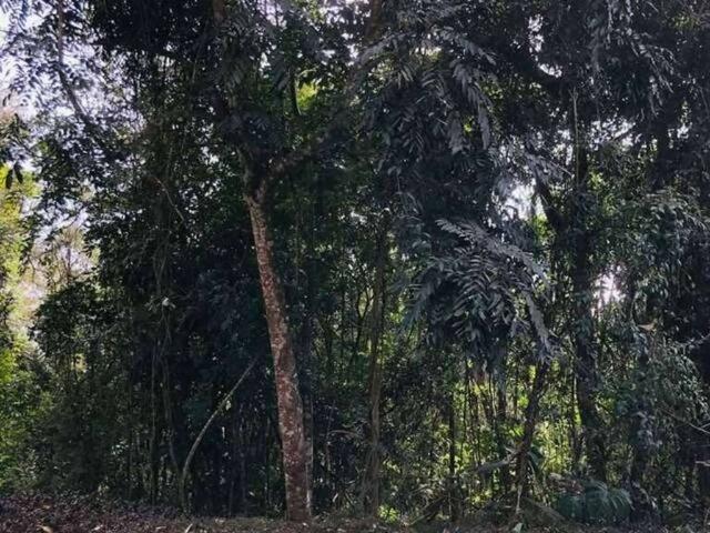 Terreno / Lote para Venda em Itapevi/SP Jardim Nova Cotia