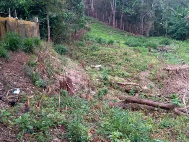 Terreno / Lote para Venda em Itapevi/SP Jardim Nova Cotia