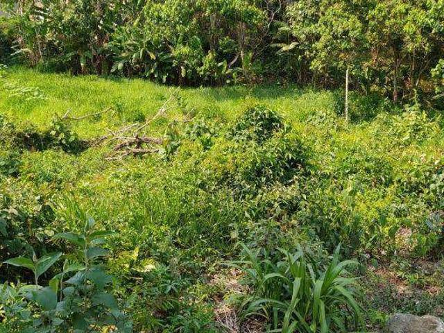 Terreno / Lote para Venda em Itapevi/SP Jardim Nova Cotia